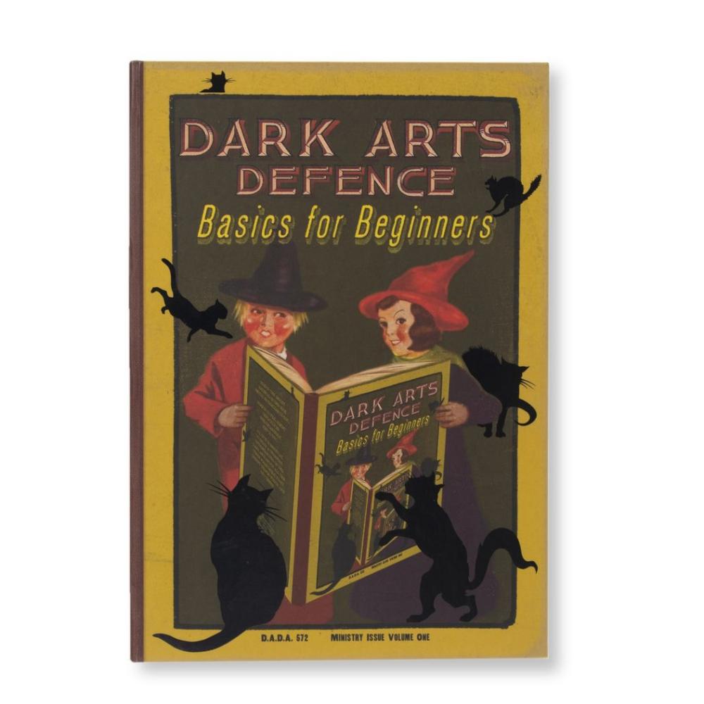 Dark Arts Defence: Basics for Beginners Journal - Harry Potter